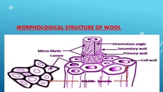 Textile fibre science | PPTX