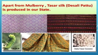 Textile fibre science | PPTX