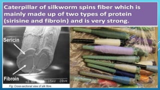 Textile fibre science | PPTX