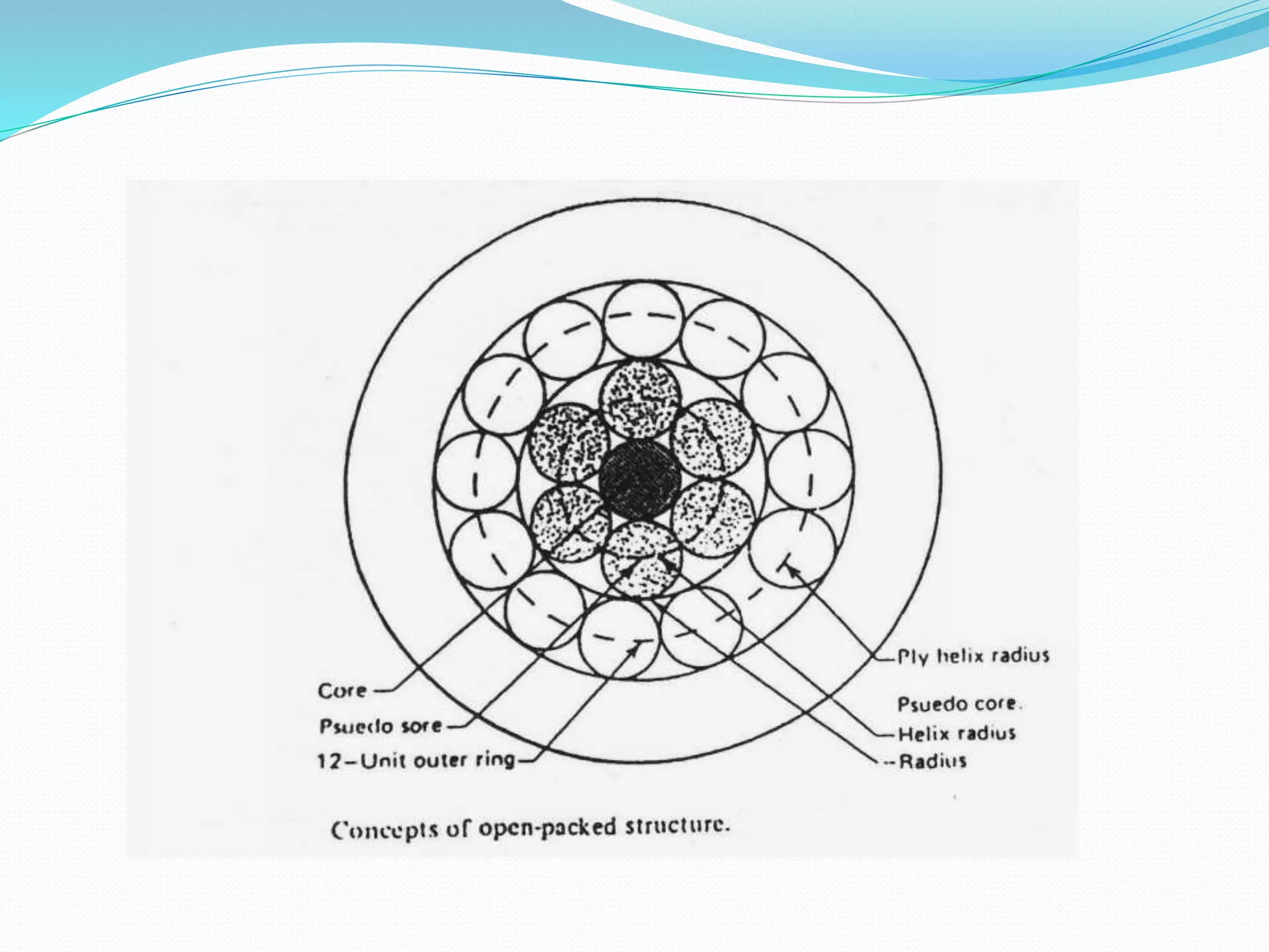 Yarn Geometry | PPTX