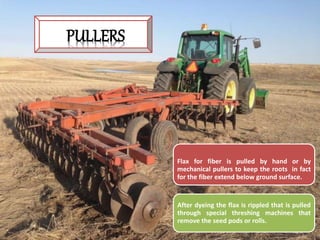 Technological advancement of linen fabric | PPTX | Needlework | Arts ...