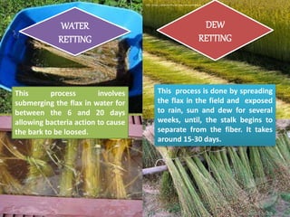 Technological advancement of linen fabric | PPTX | Needlework | Arts ...