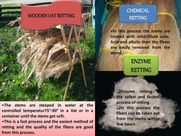 Technological advancement of linen fabric | PPT