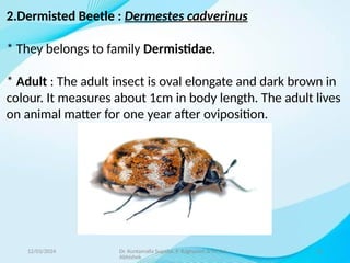 Textile queen pests and their control.pptx