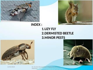 Textile queen pests and their control.pptx