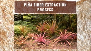 Textile tradition Art Philippines | Pop Culture | PDF