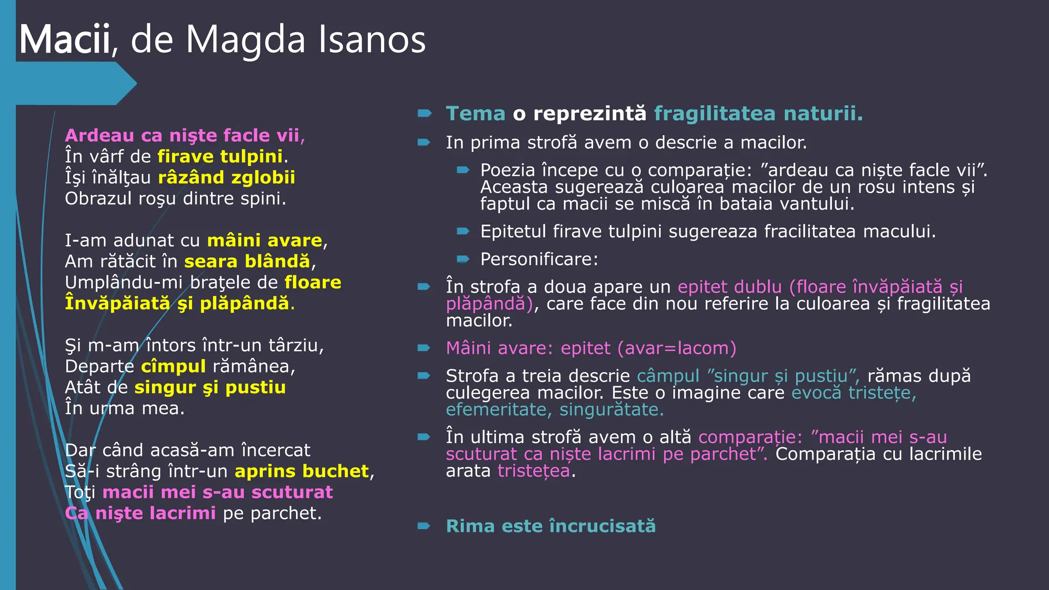 Text liric - trasaturi, teme și exemple de poezii | PPTX