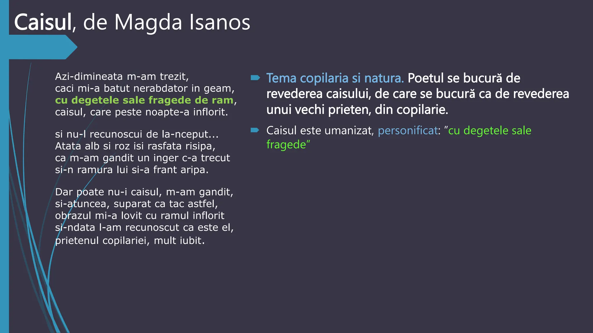 Text liric - trasaturi, teme și exemple de poezii | PPTX