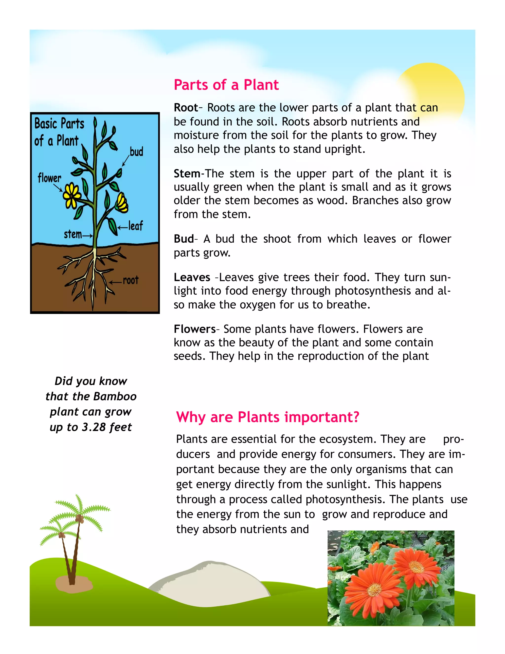 Text media plants | PDF