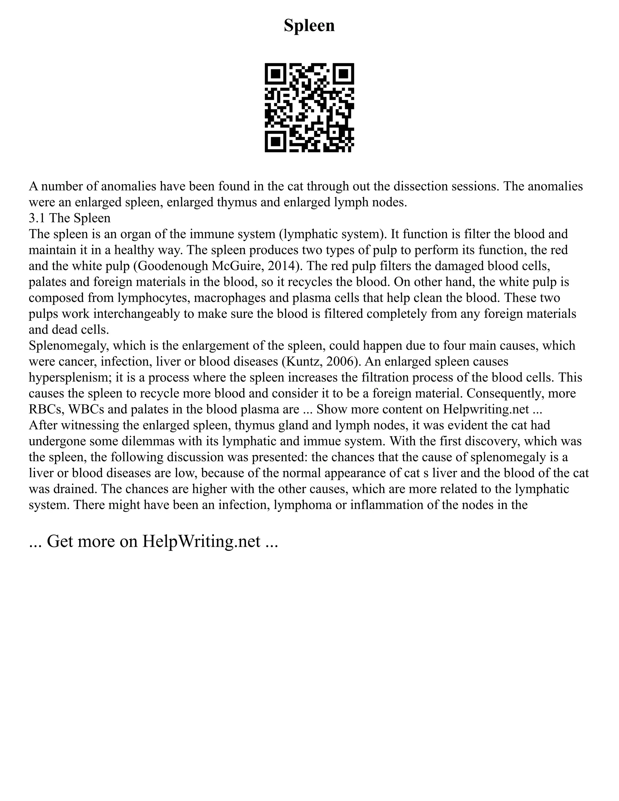 Text MLA Document Formatting English Comp | PDF