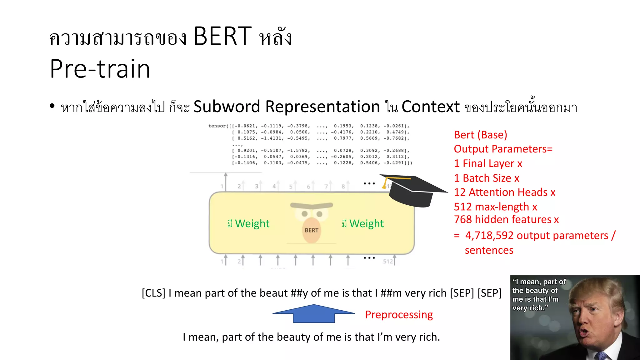 Thai Text processing by Transfer Learning using Transformer (Bert) | PDF
