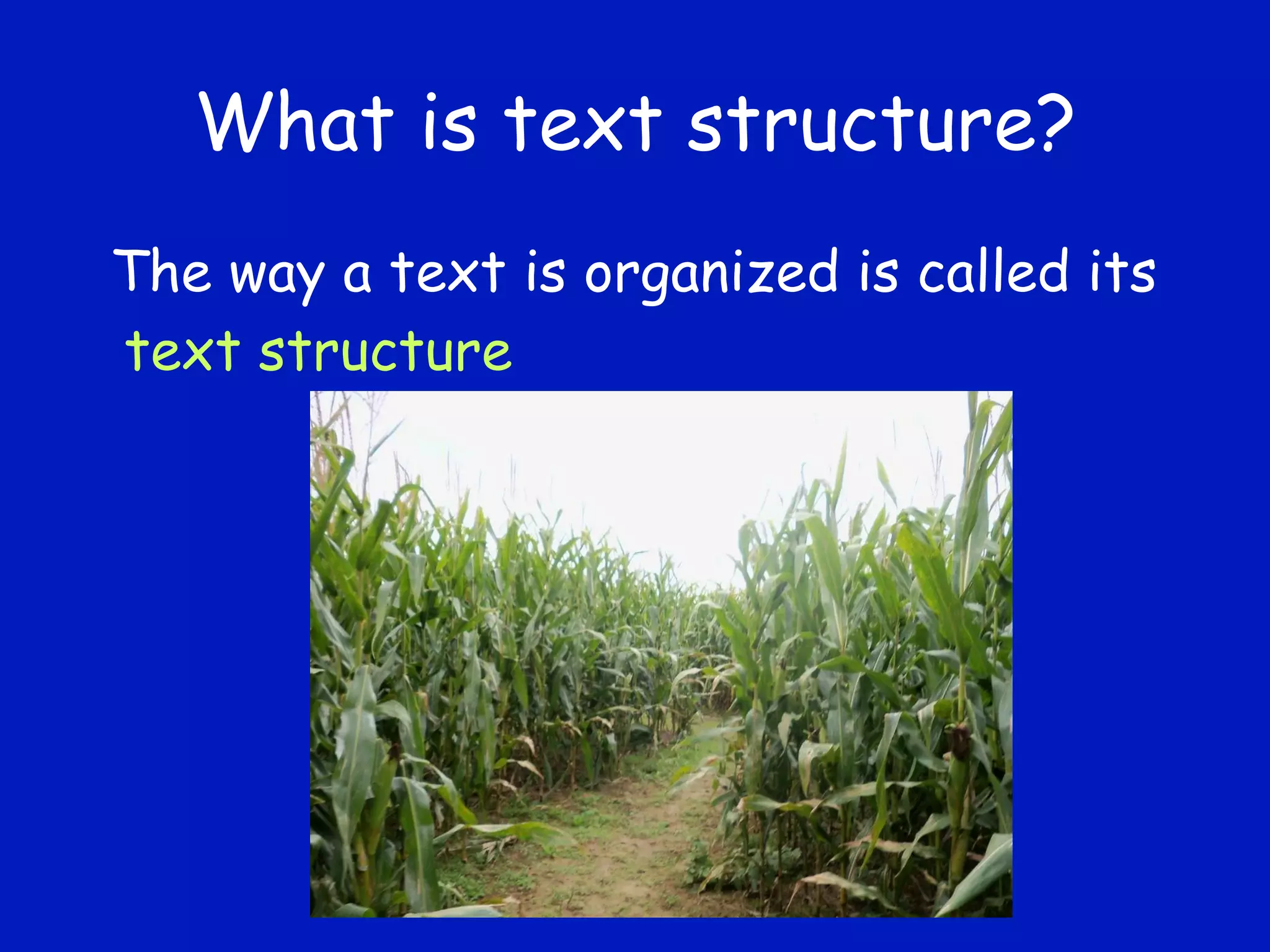 Text structure for young readers | PPT