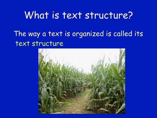 Text structure for young readers | PPT