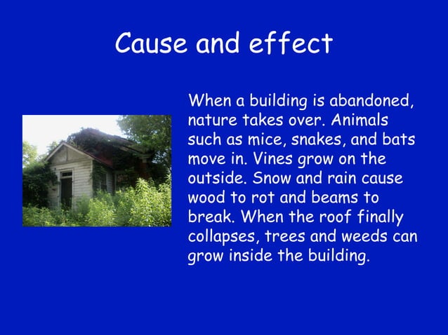 Text structure for young readers | PPT