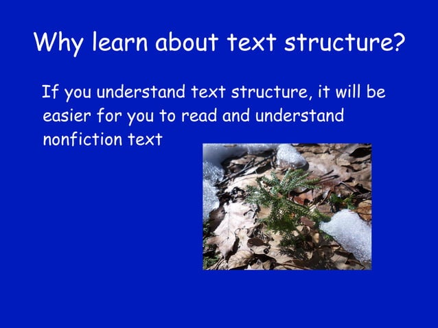 Text structure for young readers | PPT