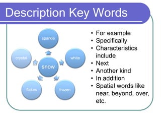 Analyzing Text Structures | PPTX