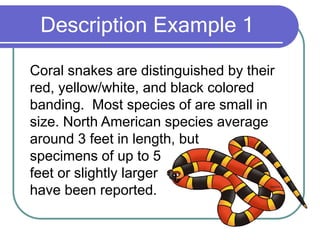 Analyzing Text Structures | PPTX