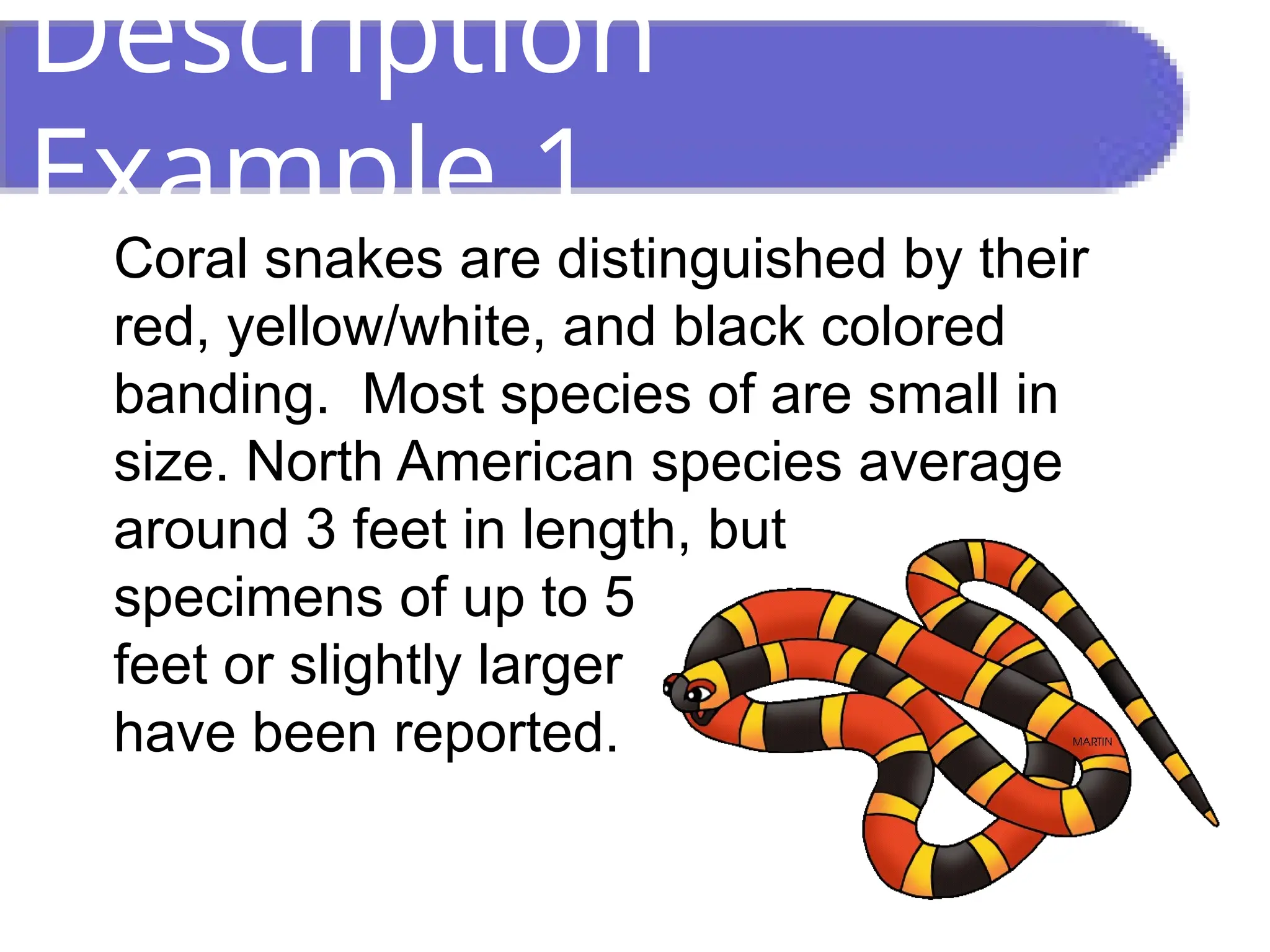 TEXT STRUCTURES IN PERSUASIVE TEXTS.pptx
