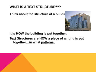 Text Structures Various Different Styles ppt.pptx