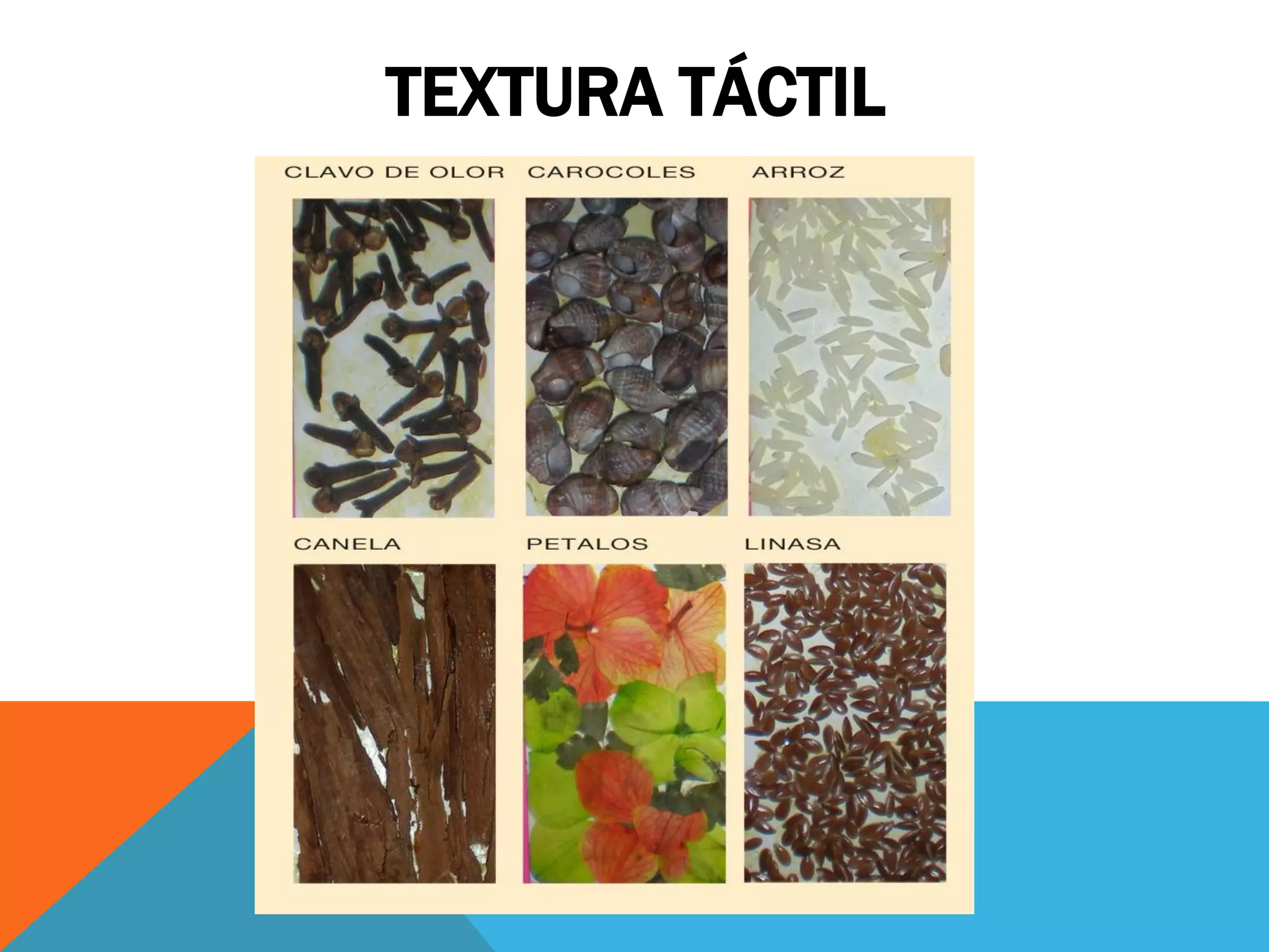 Textura-tactil (1).pdf