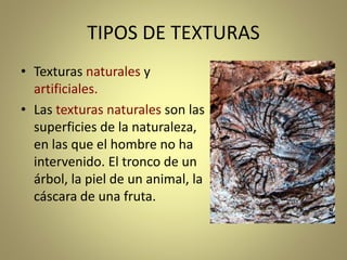 Texturas | PPTX