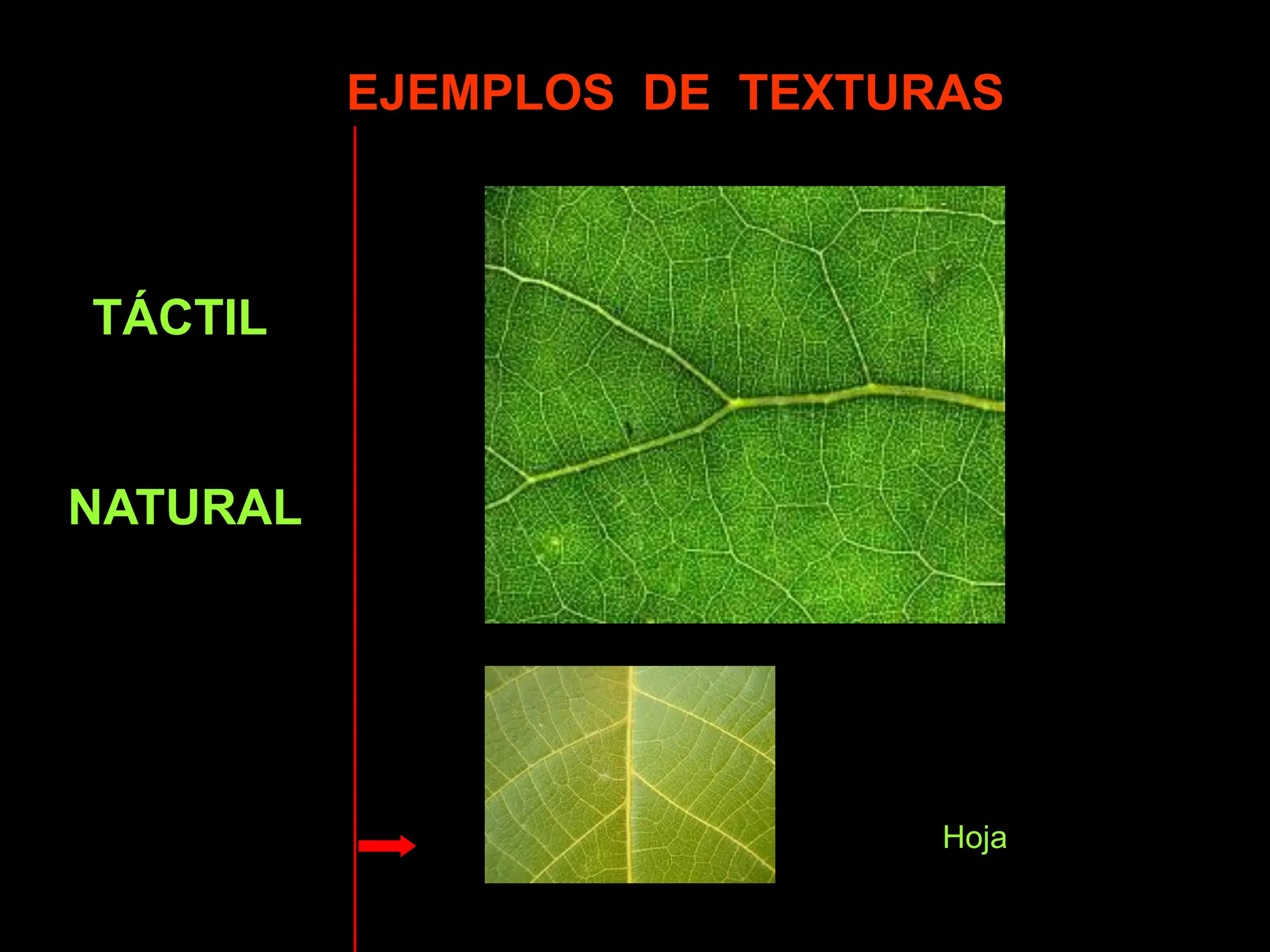Clasificación de texturas : táctiles y visuales | PDF