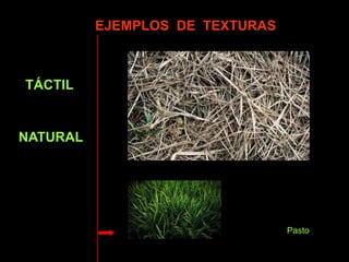 Clasificación de texturas : táctiles y visuales | PDF