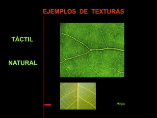 Clasificación de texturas : táctiles y visuales | PDF