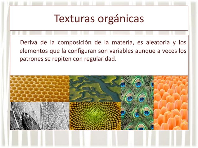 Texturas clasificación | PPTX