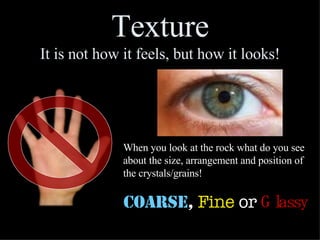 Texture | PPT