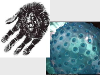 visual and tectile textures | PPT