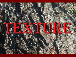 Texture-Element of Design-Art Lesson | PPT