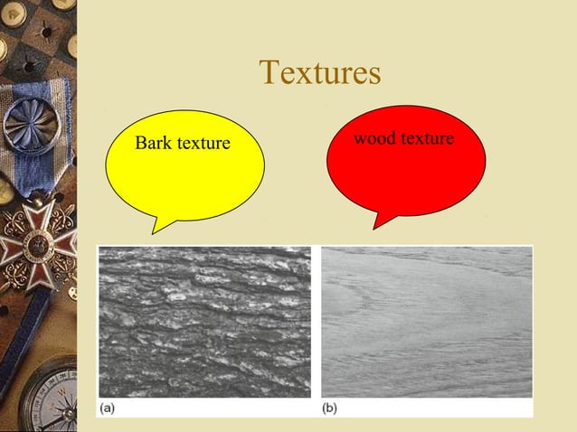 Texture in image processing