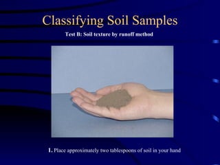 Texture A Mano | PPT