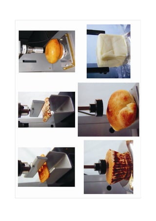 Texture analyser | PDF | Computer Peripherals | Computing