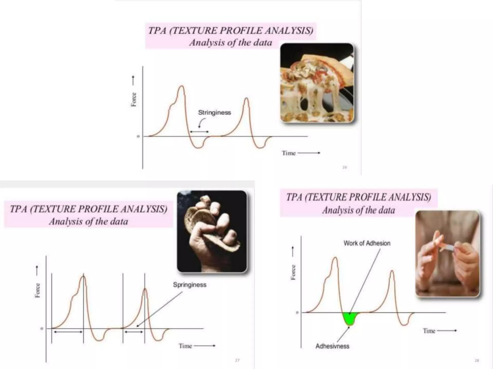 texture analysis of food (1).pptx