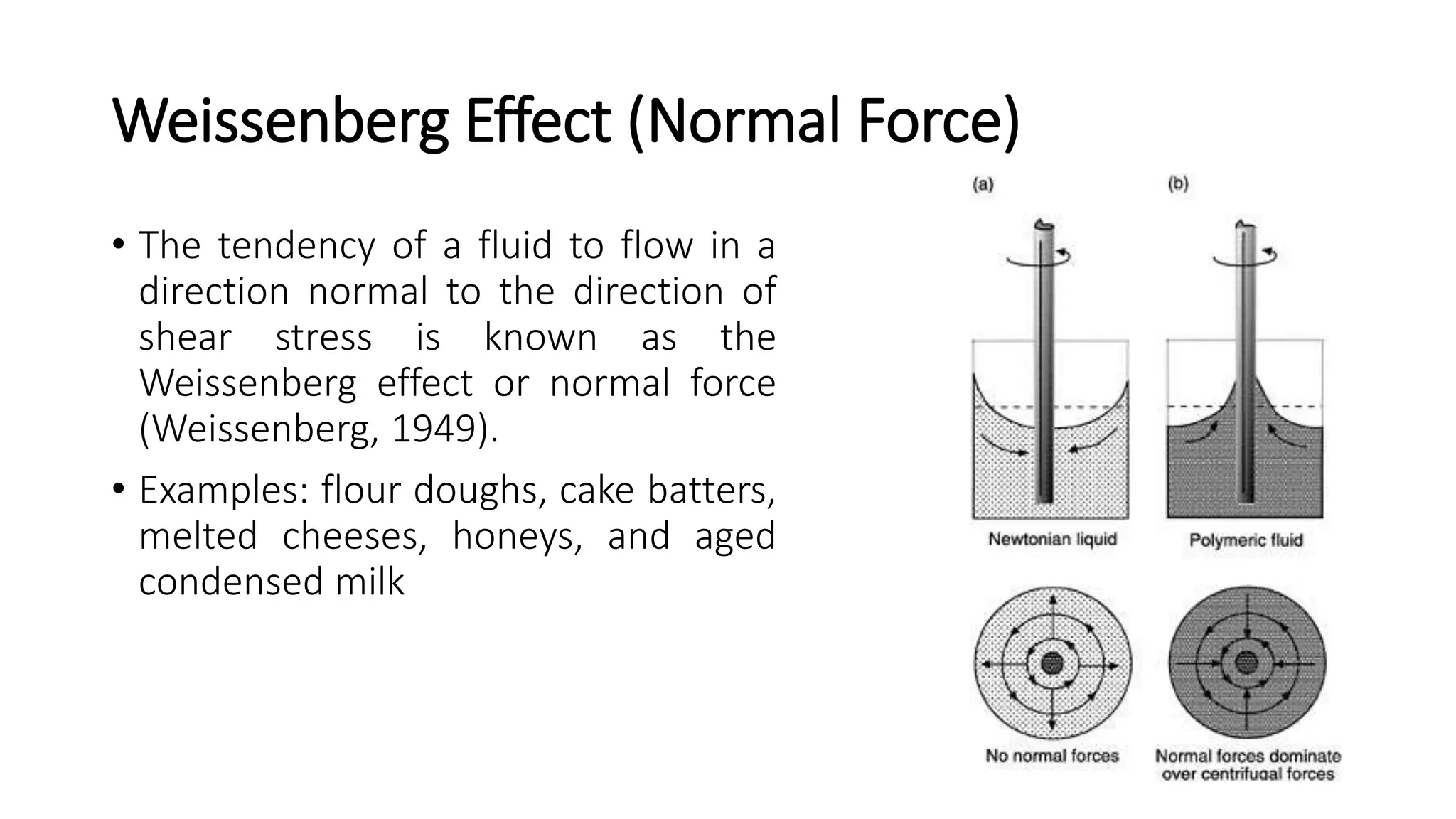 Texture and physics | PPTX