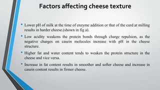 Texture development in cheese | PPTX | Oral care | Personal Care