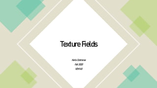 Texture Fields | PPT