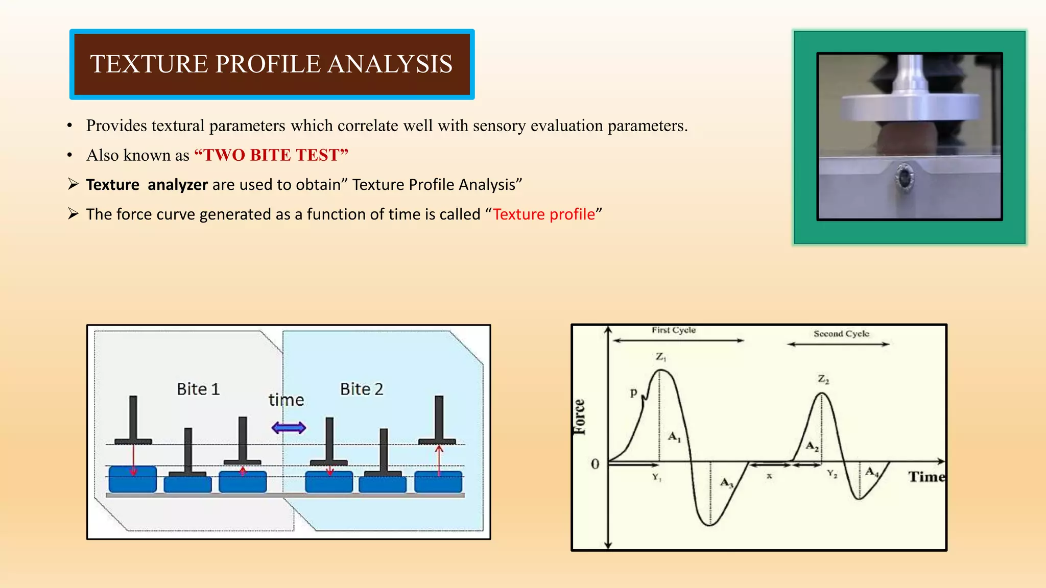 Texture profile analizer | PPTX