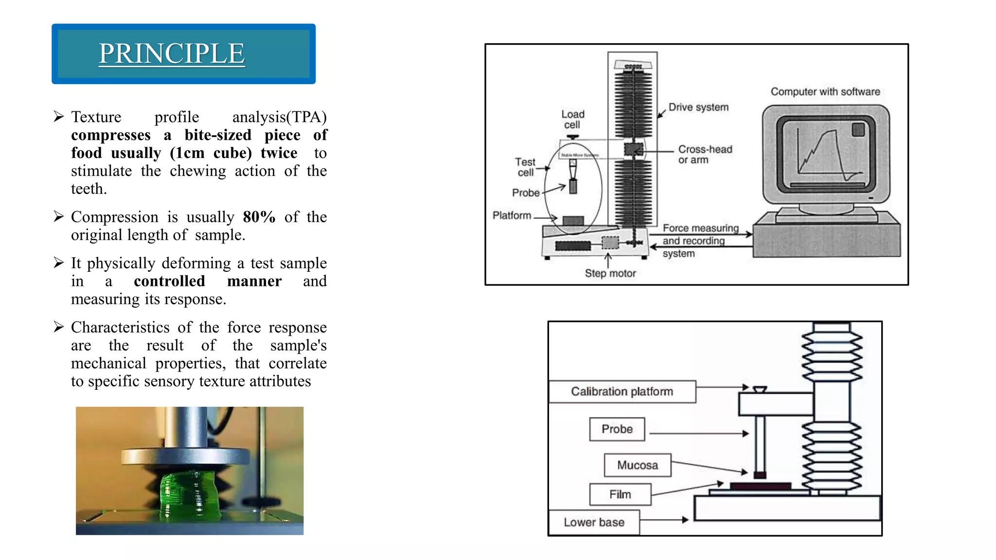 Texture profile analizer | PPTX