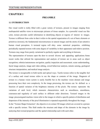 TEXTURE REPRESENTATION.pdf