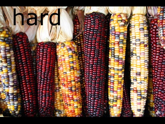 Textures and Patterns (updated) | PPSX