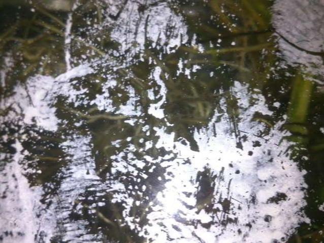 50 imatges sobre textures | PPTX