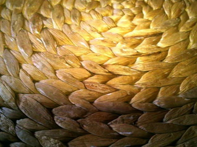 50 imatges sobre textures | PPTX