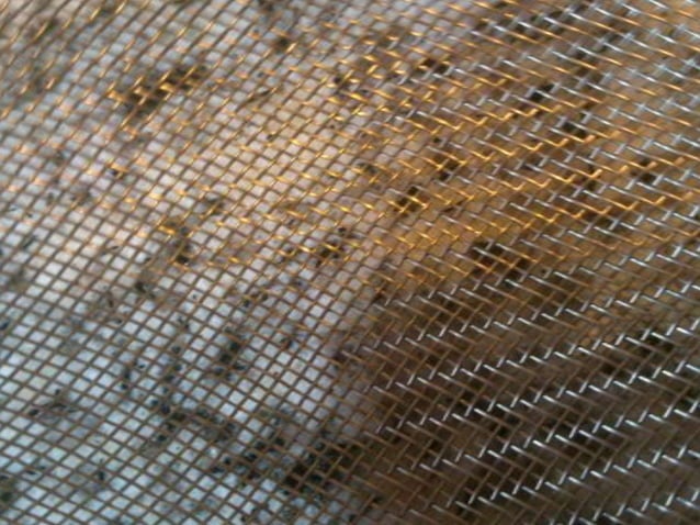 50 imatges sobre textures | PPTX