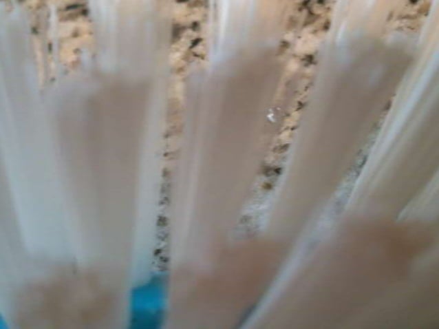 50 imatges sobre textures | PPTX