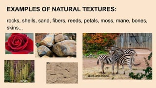 Textures 1ºeso | PDF
