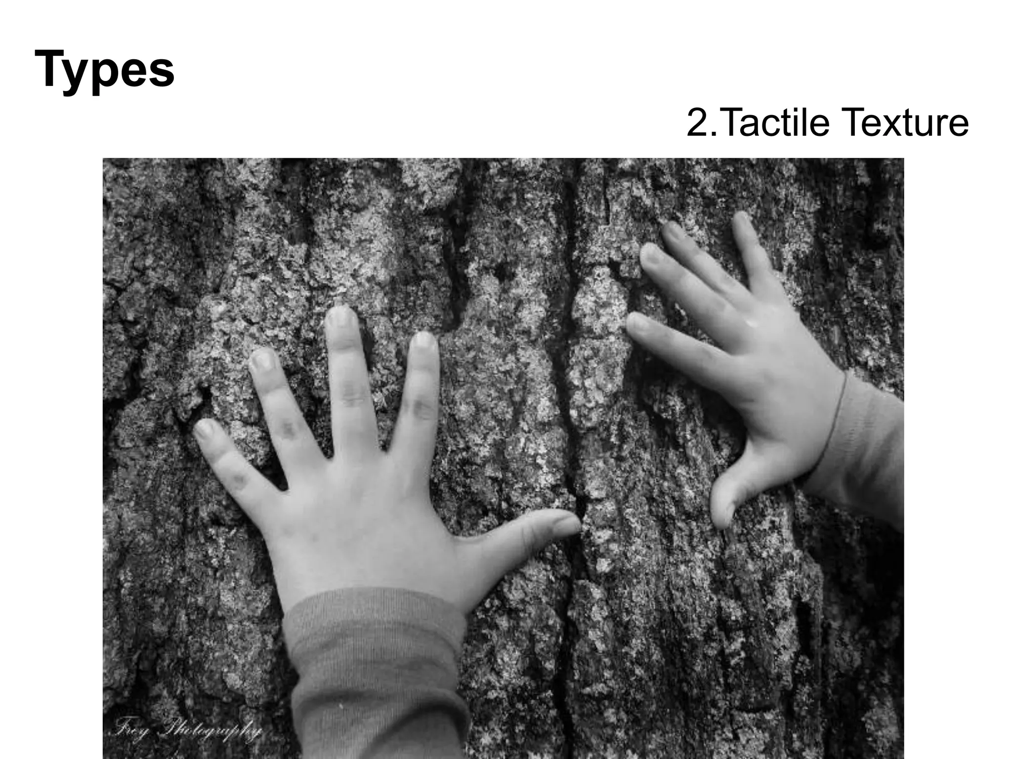 Textures on fashion design | PPTX