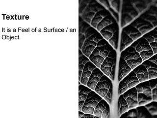 Textures on fashion design | PPTX | Fashion Trends | Style & Fashion